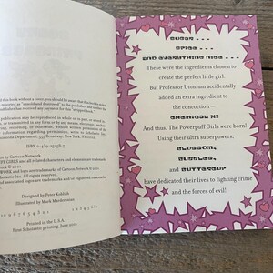 The Powerpuff Girls Chapter Books // Sold Individually // 3 Cartoon ...