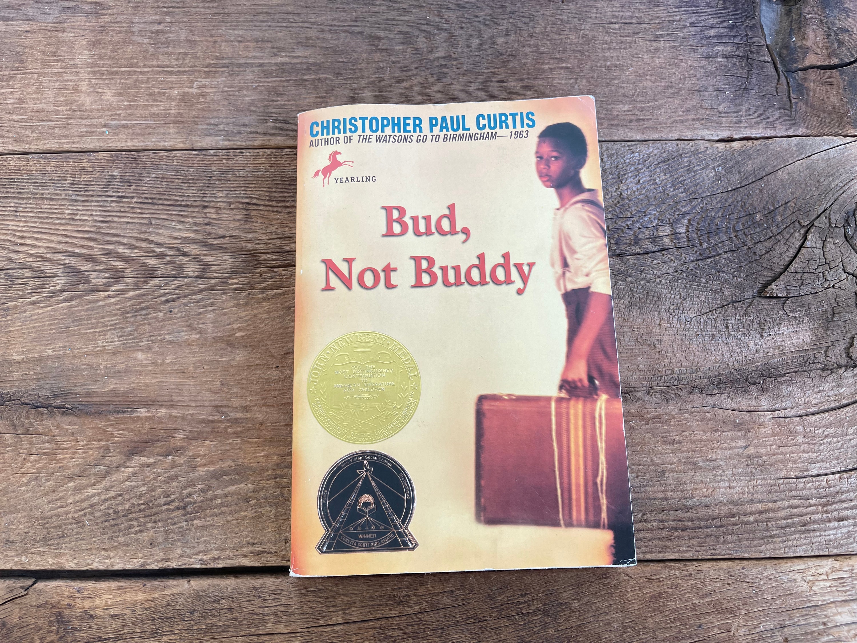 Bud Not Buddy Suitcase Items