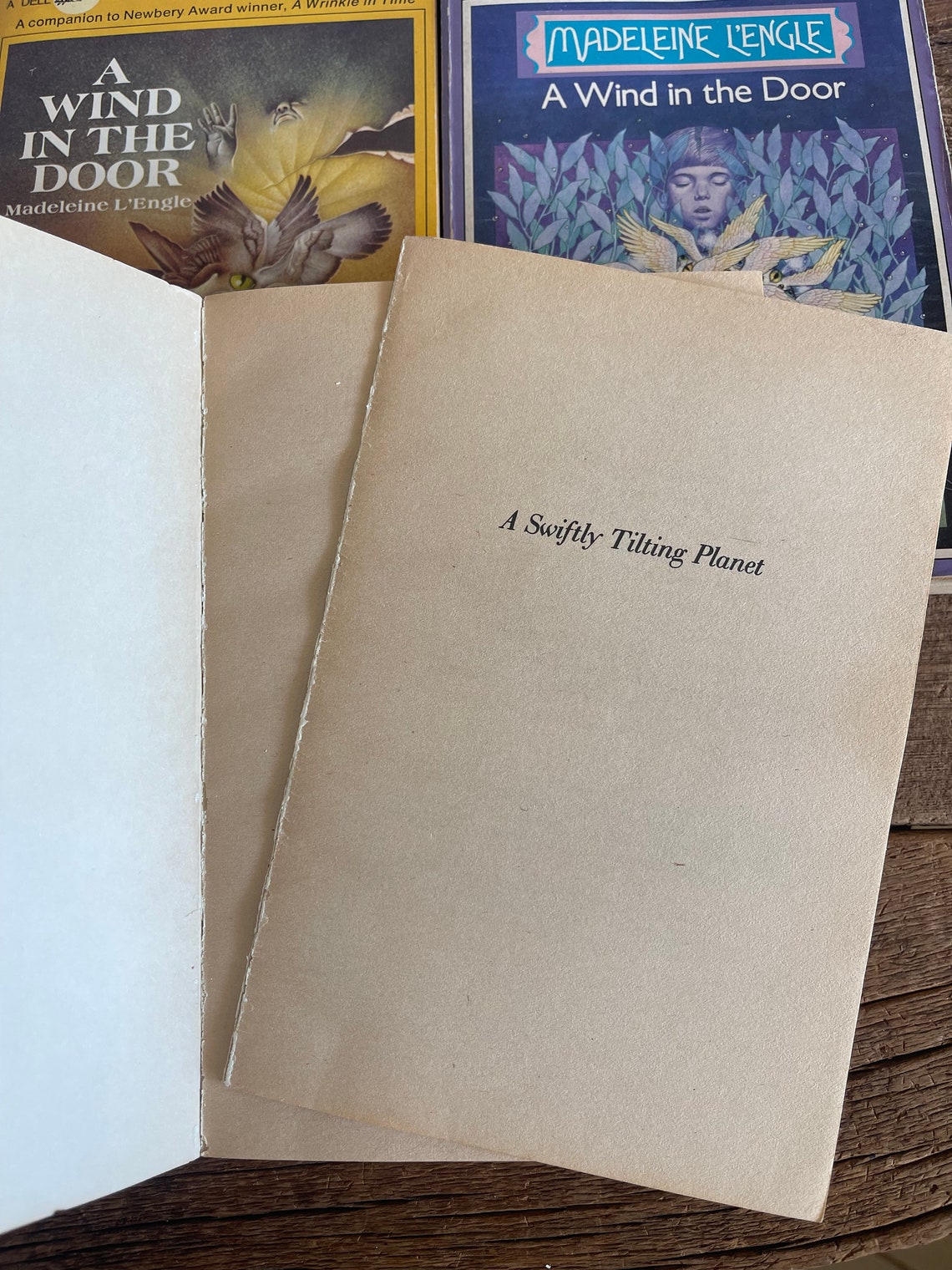 Madeleine L'engle Books // You Choose // Young Adult - Etsy