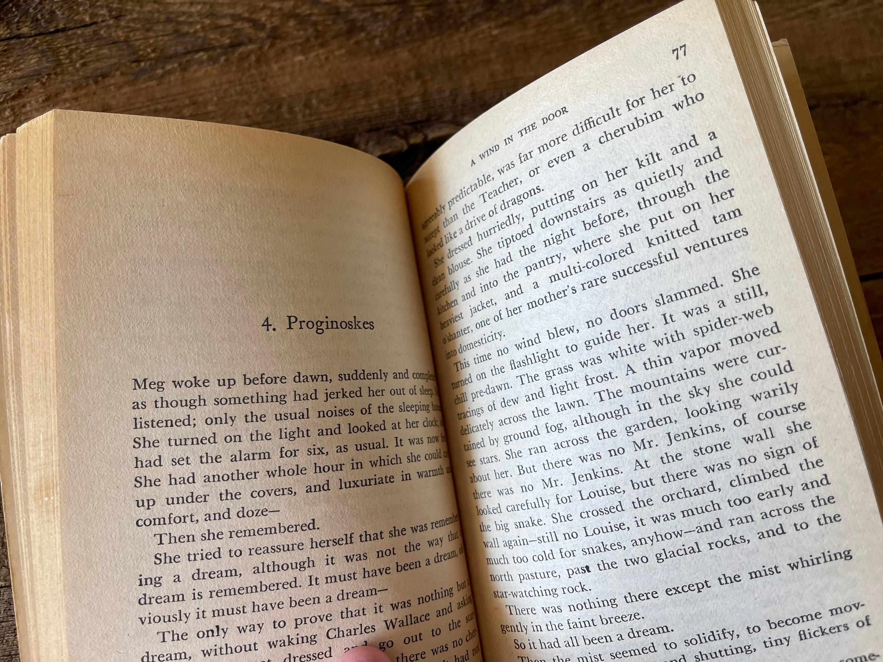 A Wind in the Door // Madeleine L'engle // 1982 - Etsy