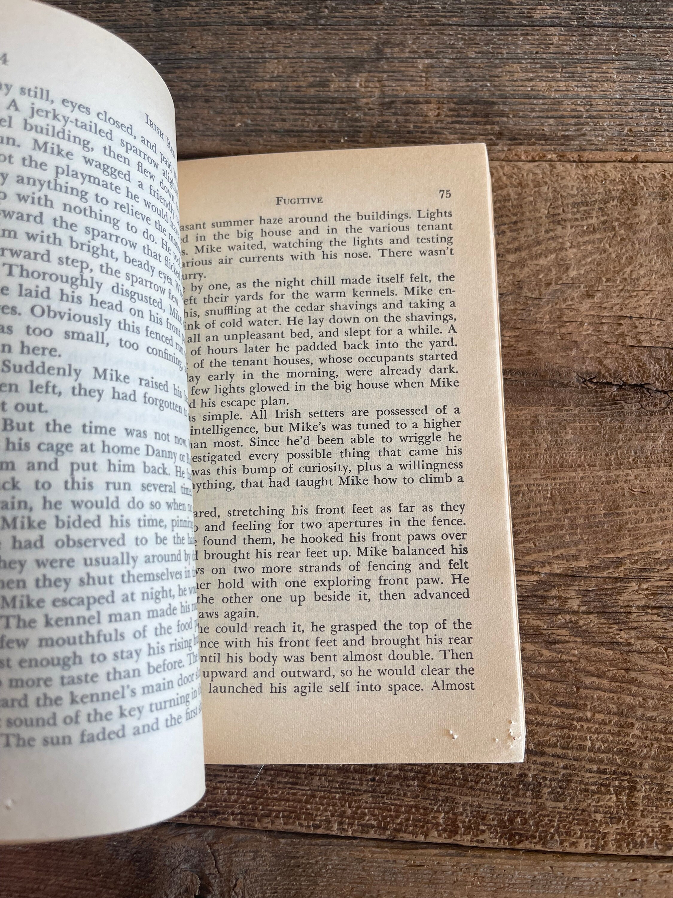 Irish Red // Jim Kjelgaard // 13th Printing 1972 // Scholastic Book - Etsy