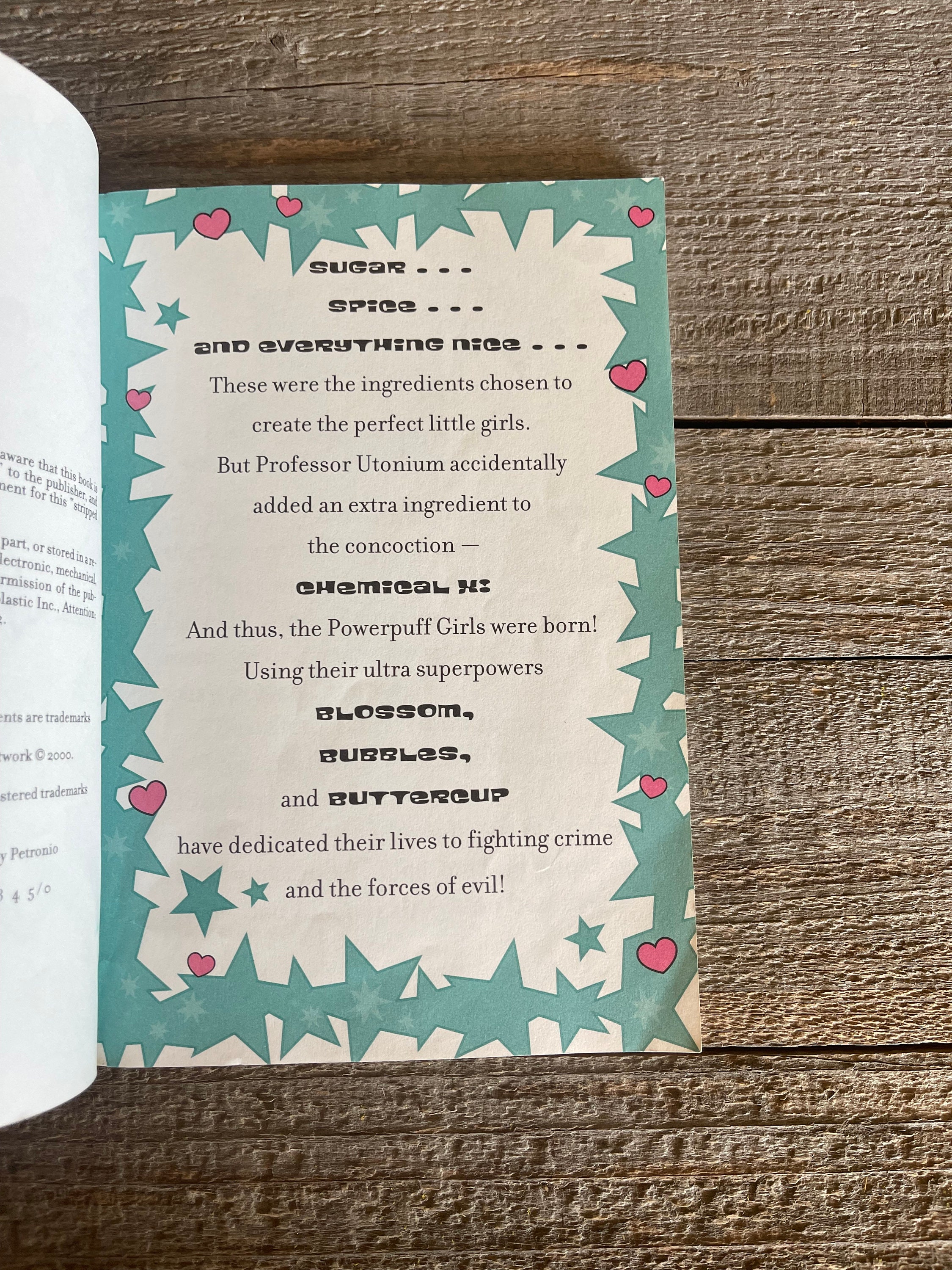 The Powerpuff Girls Chapter Book // Book 2 All Chalked up // - Etsy