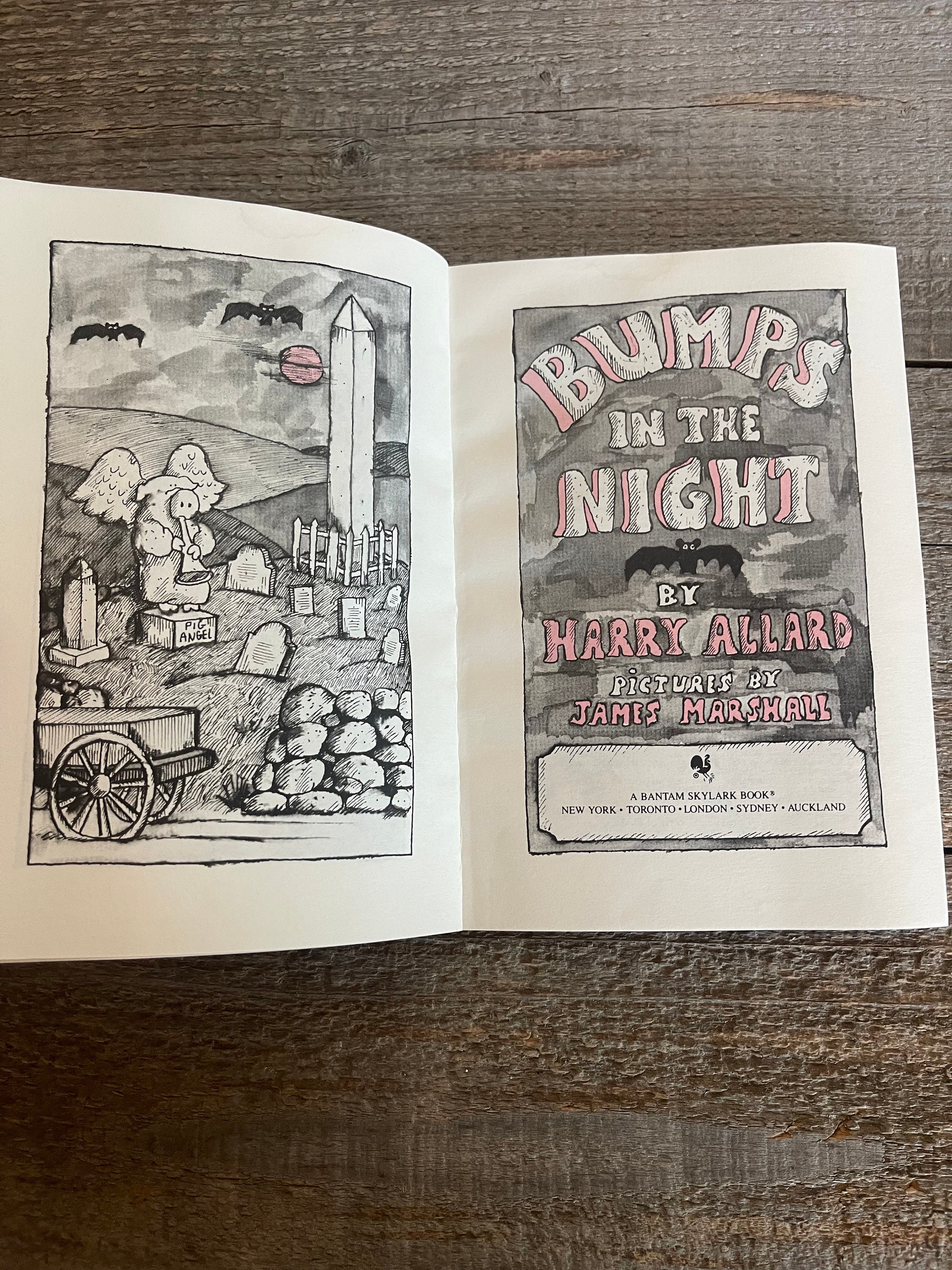 Bumps in the Night // Harry Allard James Marshall // - Etsy
