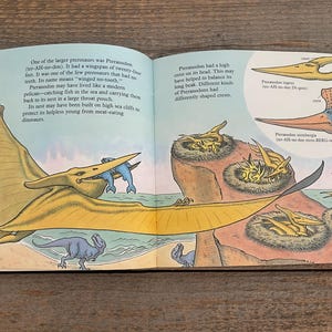Berenstain Bears Dinosaurs Books, Sold Individually // Flying Dinosaurs ...