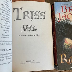 The Redwall Series Books by Brian Jacques // You Choose // Young Adult ...