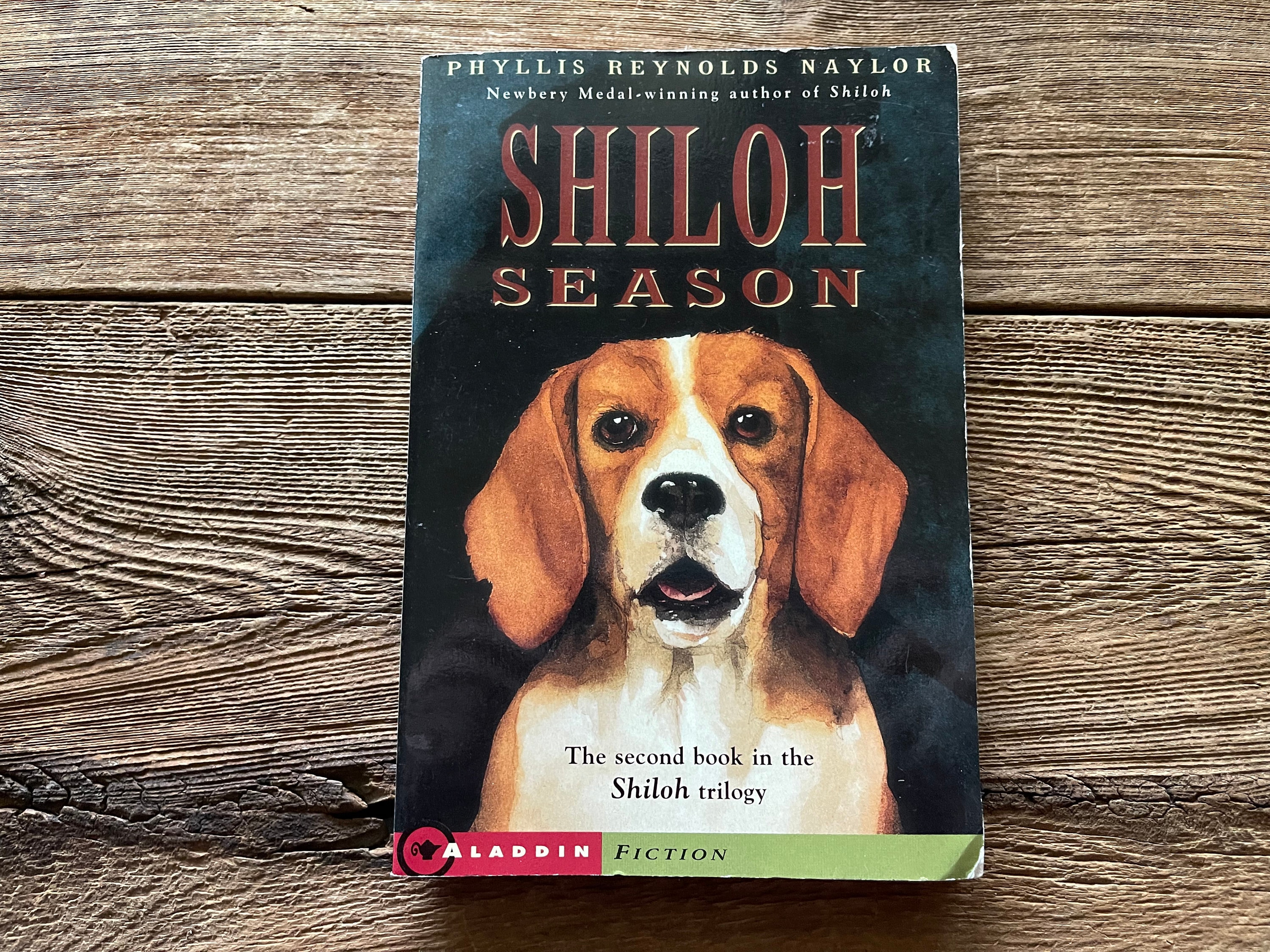 Pictures About The Book Shiloh