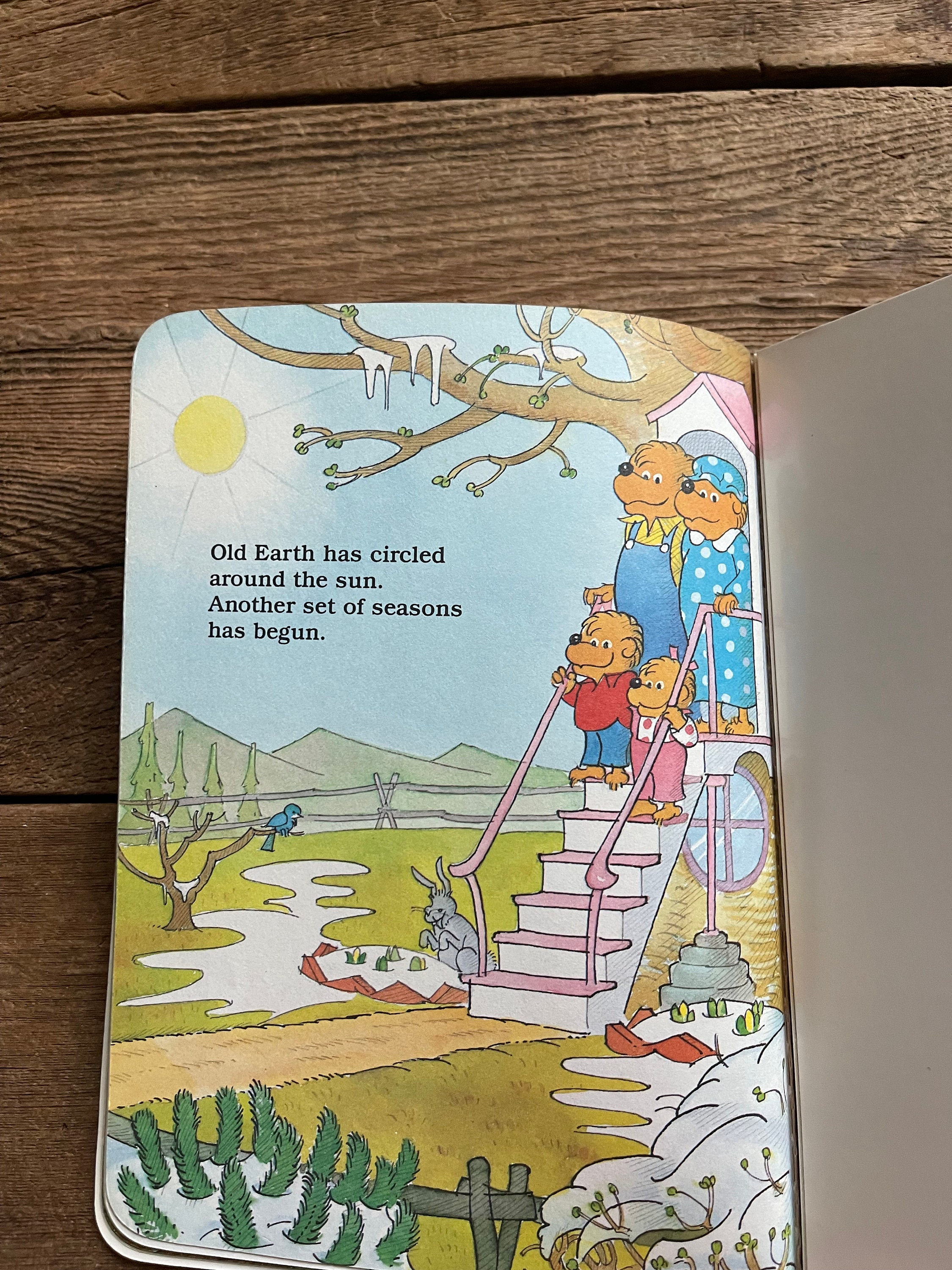 The Berenstain Bears' Four Seasons // Stan & Jan - Etsy