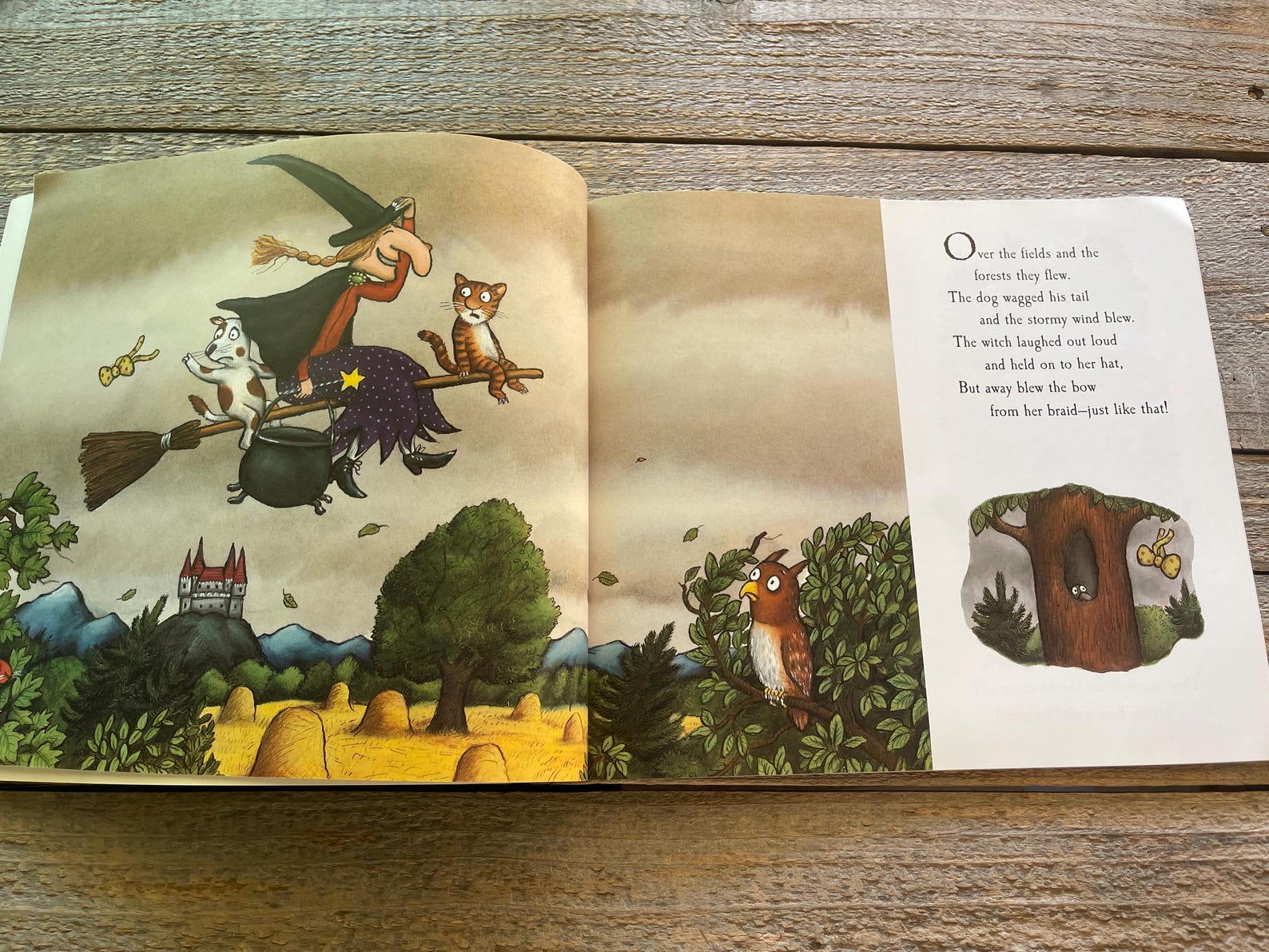 Room on the Broom // Julia Donaldson, Alex Scheffler // Early 2000's ...