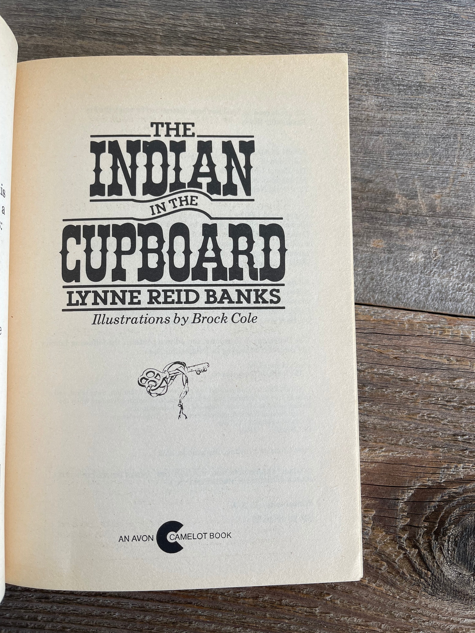 The Indian in the Cupboard Book Series // Choose One // Lynne - Etsy