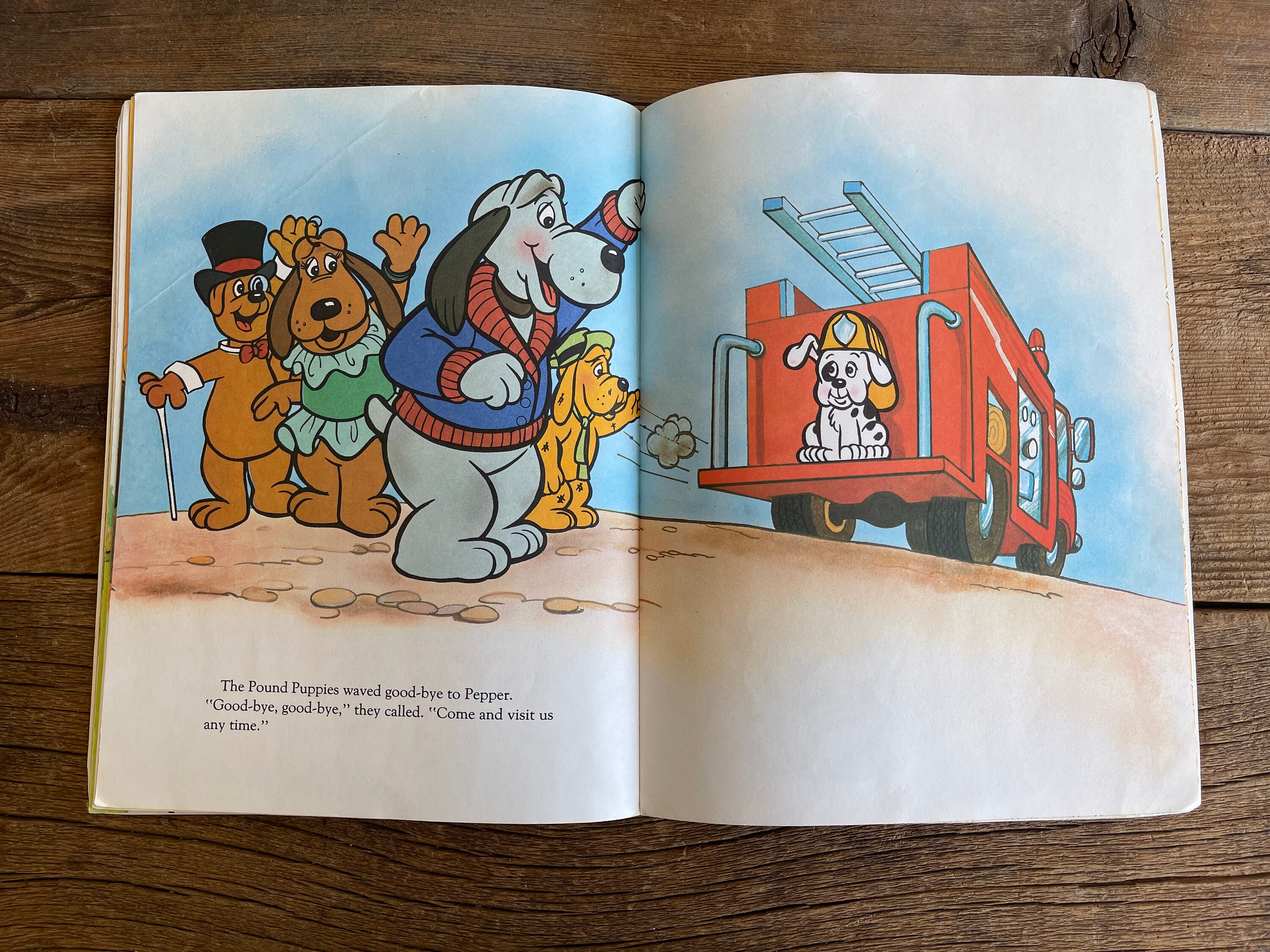 Vintage Pound Puppies Book, the Puppy Who Couldn't Remember 1986 - Etsy UK