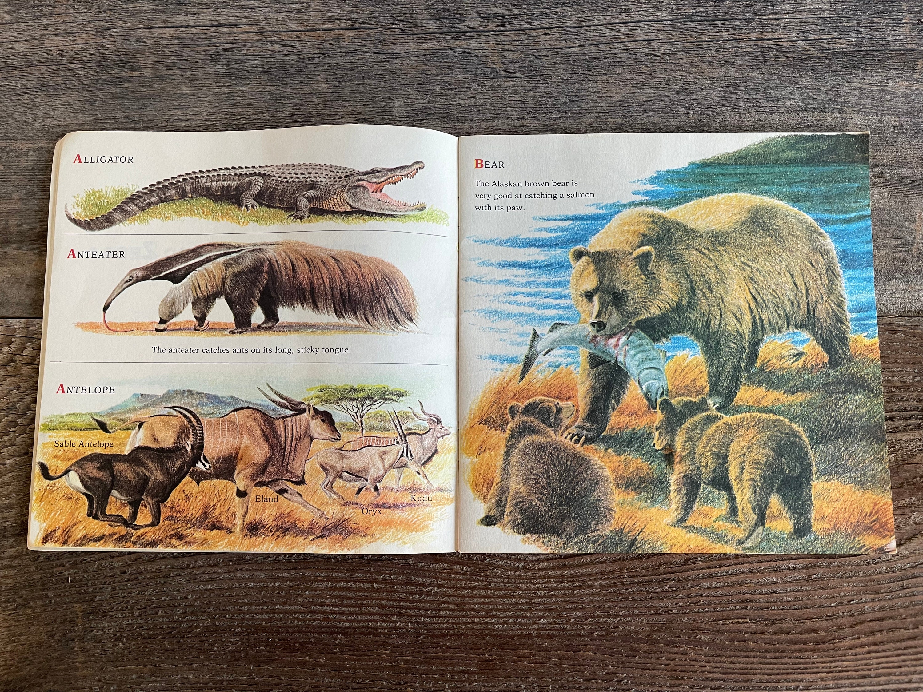 Wild Animals Book: Arthur Singer, 1973 - Etsy