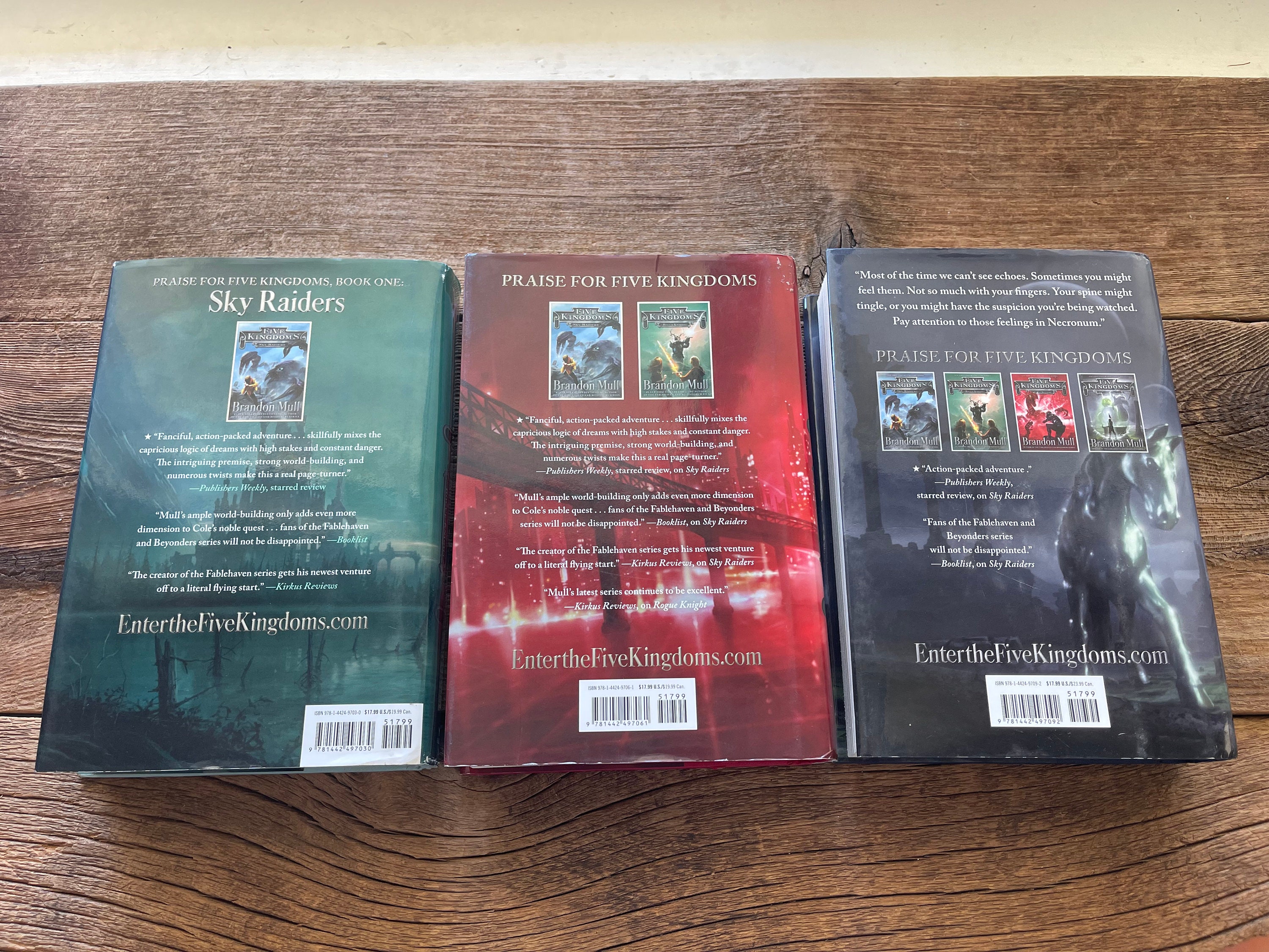 Five Kingdoms Series Books // You Choose // Rogue Knight - Etsy