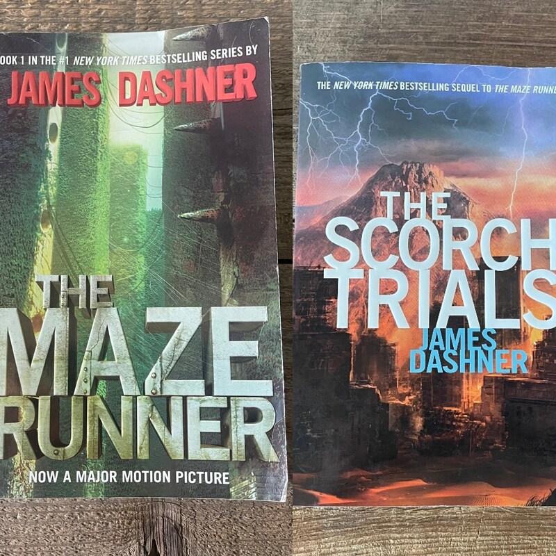 The Maze Runner - Etsy