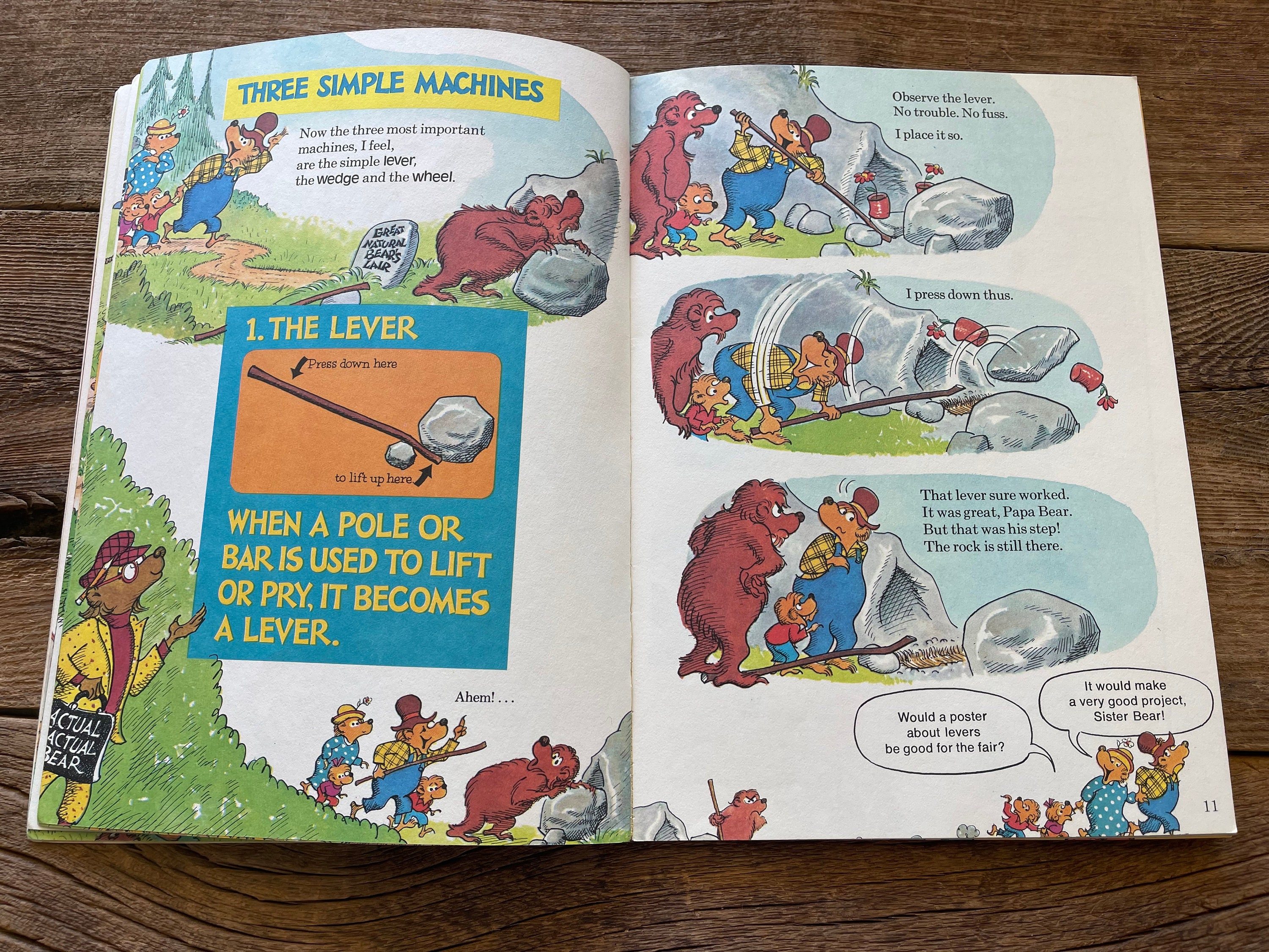 The Berenstain Bears' Science Fair Book // Stan & Jan Berenstain ...