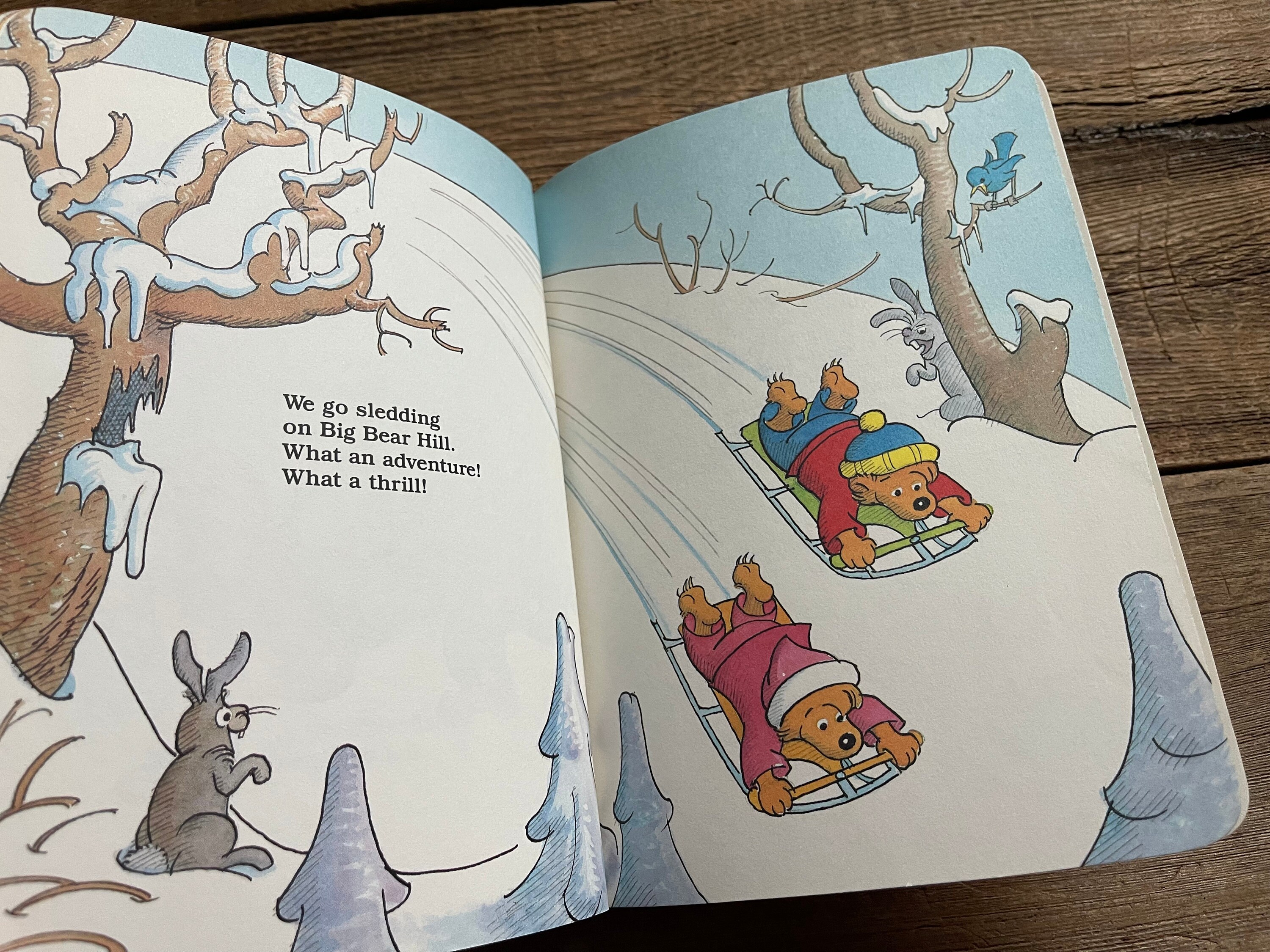 The Berenstain Bears' Four Seasons // Stan & Jan - Etsy