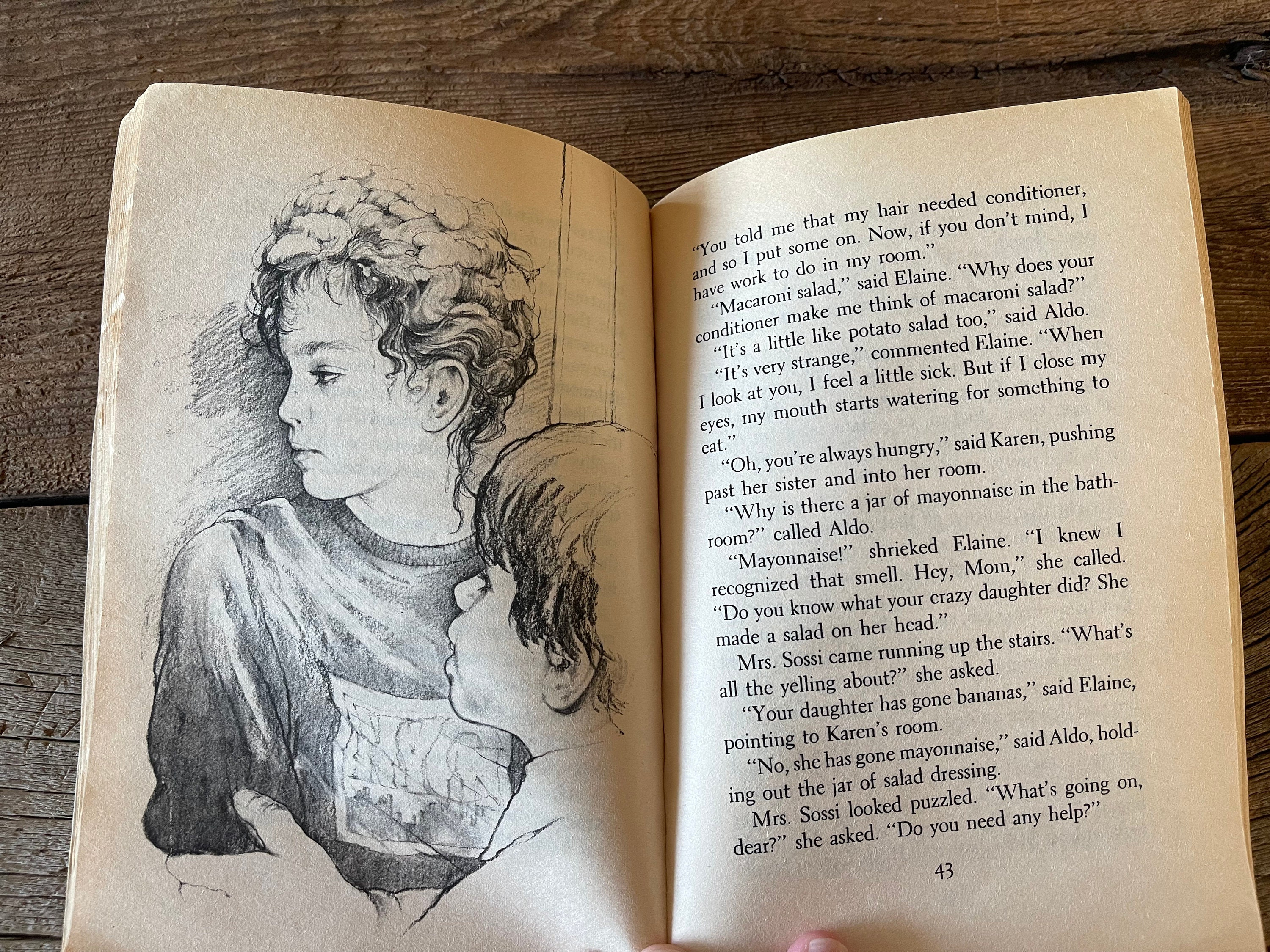 Tough-luck Karen by Johanna Hurwitz // 1982 Young Adult Book - Etsy