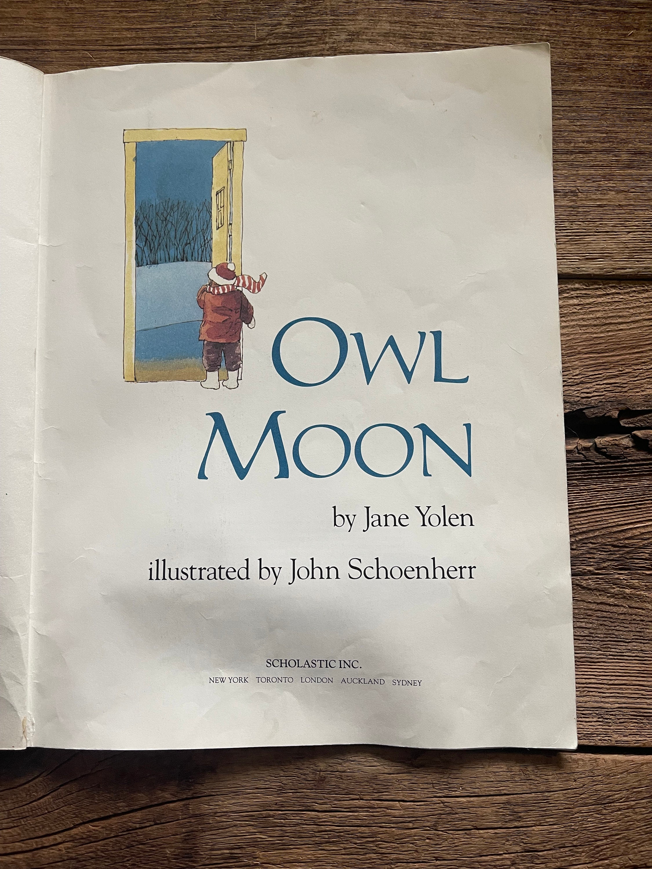Owl Moon // Jane Yolen // Vintage Book & Cassette Tape Set or Book Only ...