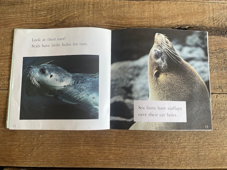 Look-alike Animals // Robin Bernard // Vintage Scholastic Book - Etsy