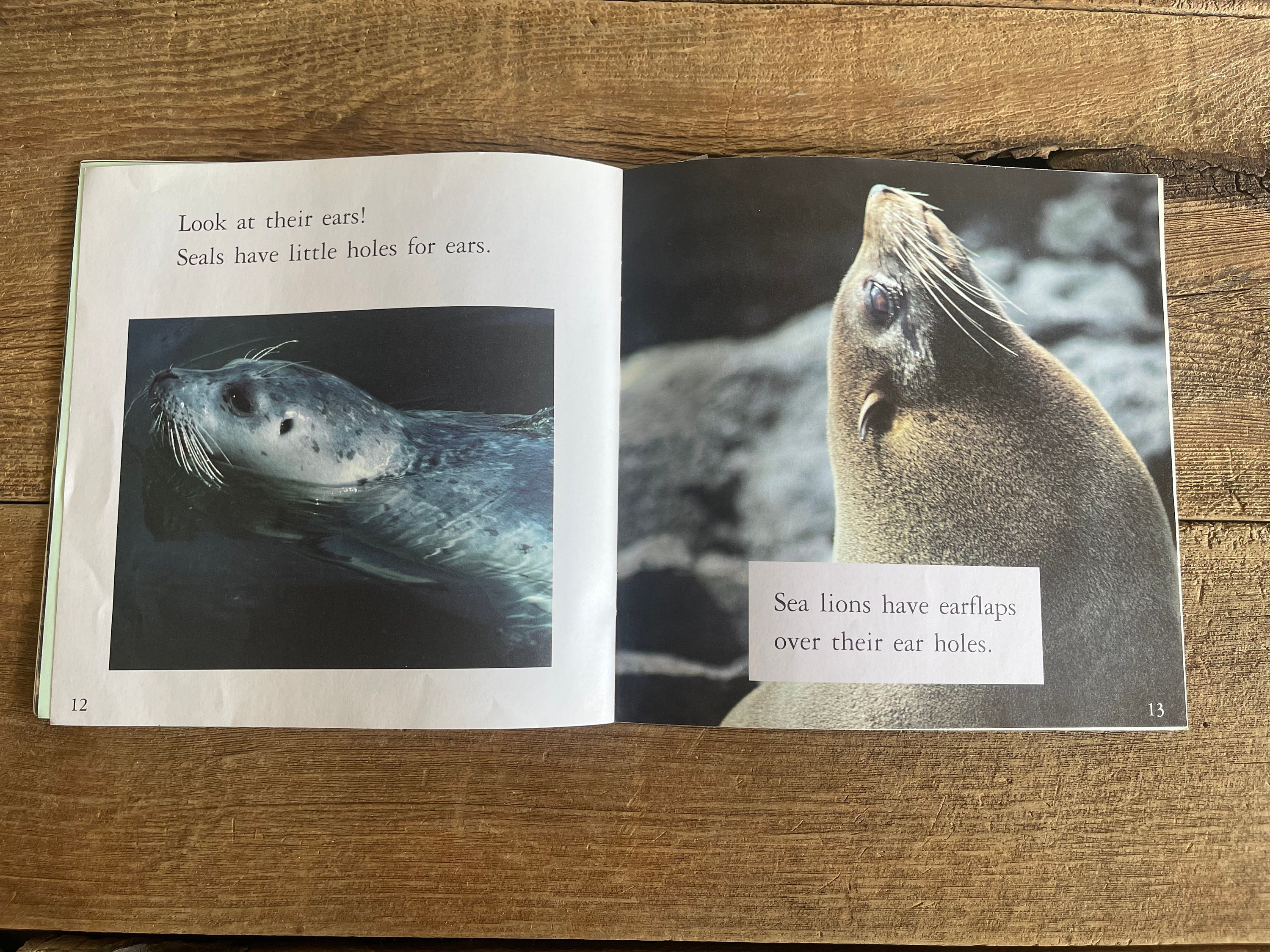 Look-alike Animals // Robin Bernard // Vintage Scholastic Book - Etsy