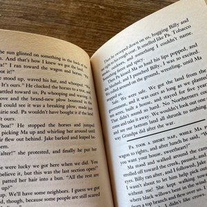 Grasshopper Summer // Ann Turner // Troll Book // 1991 - Etsy