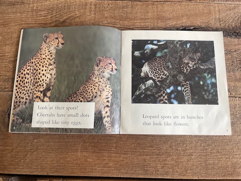 Look-alike Animals // Robin Bernard // Vintage Scholastic Book - Etsy