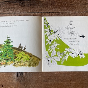 God's Plan for Plants // 1976 A Beka Book // God in Creation Series 1 ...