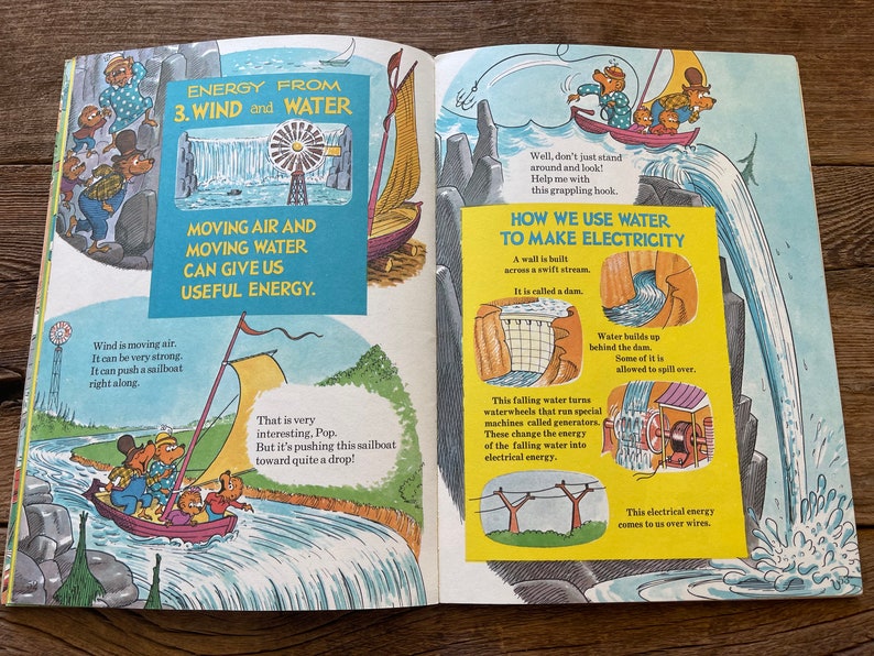 The Berenstain Bears' Science Fair Book // Stan & Jan - Etsy