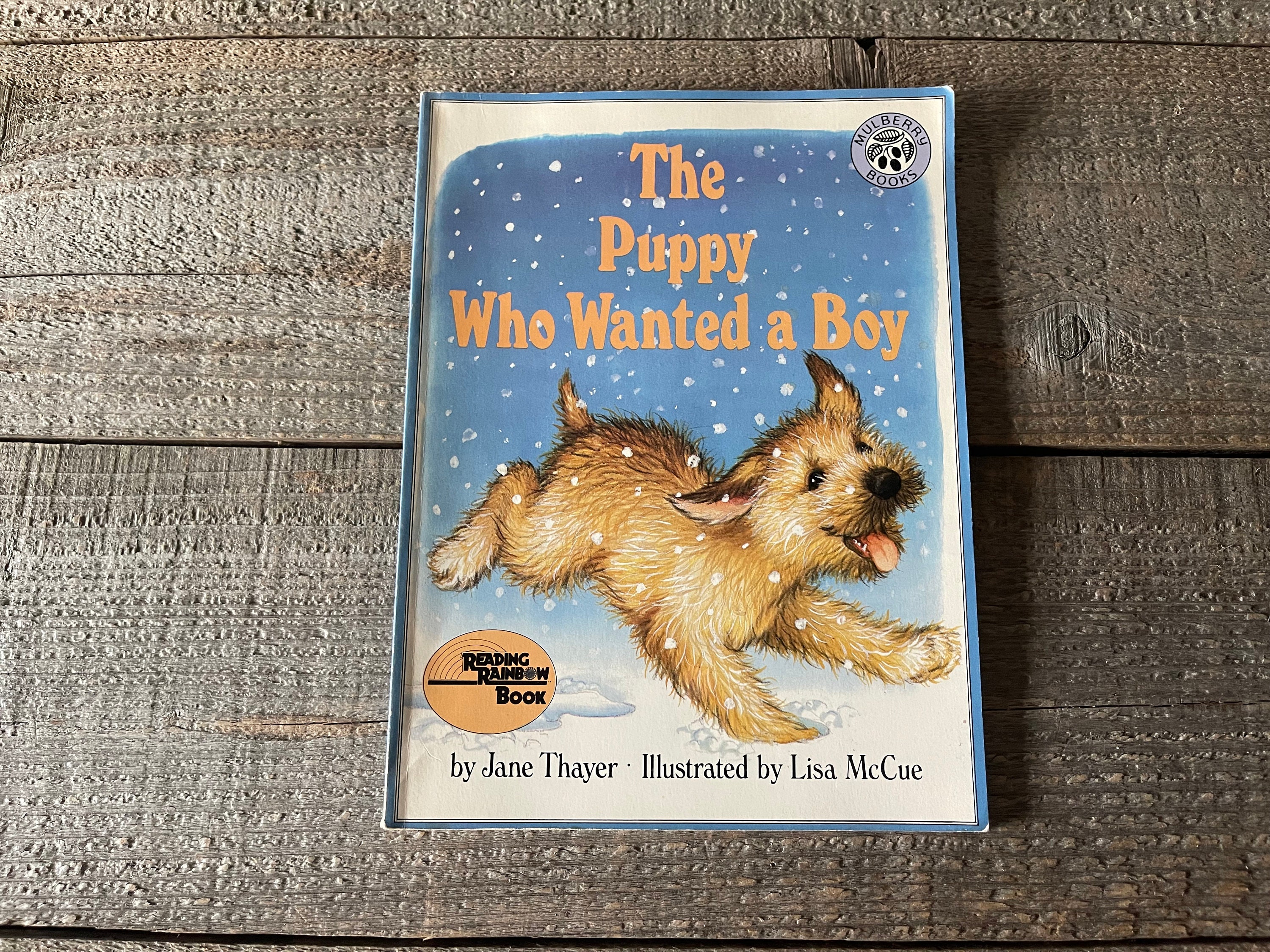 The Puppy Who Wanted A Boy // Jane Thayer // First Mulberry - Etsy