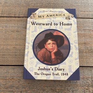 Dear America Diary Books // Sold Individually // Young Adult Historical ...