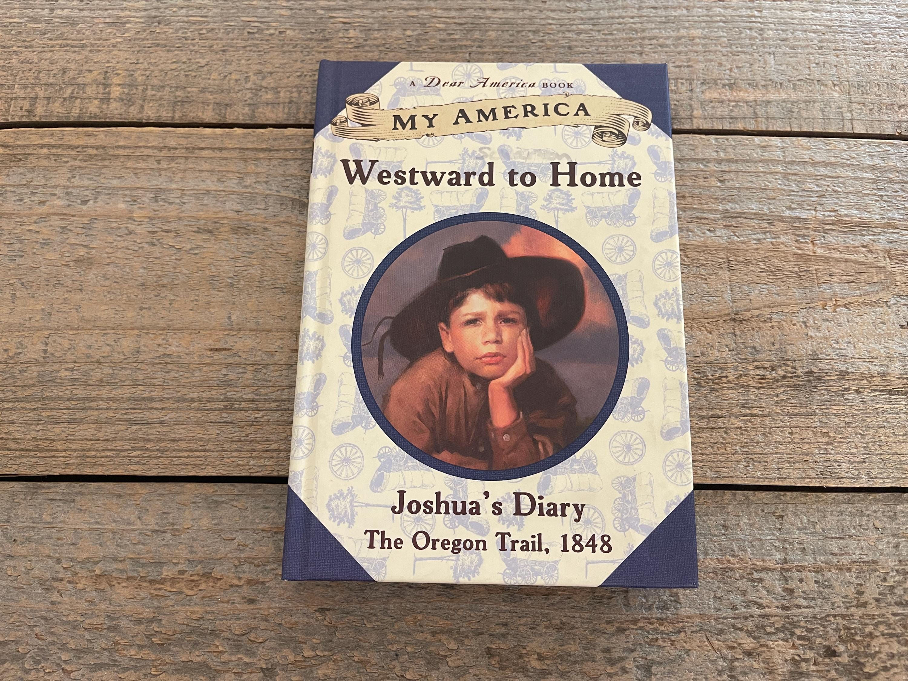 Dear America Diary Books // Sold Individually // Young Adult Historical ...