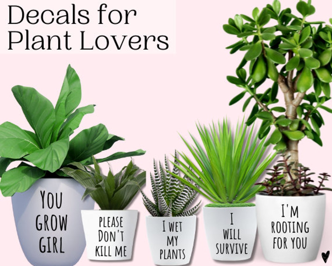 Plant Lover Custom Decals || Water/weatherproof || Funny - Etsy