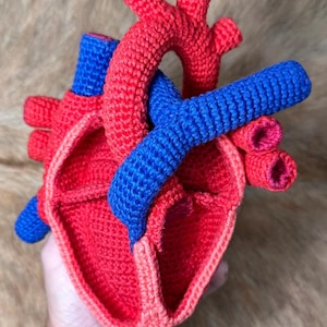 Human Heart (pattern English, PDF File) - Etsy