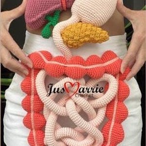Digestive System Crochet English Ebook (PDF File) - Etsy