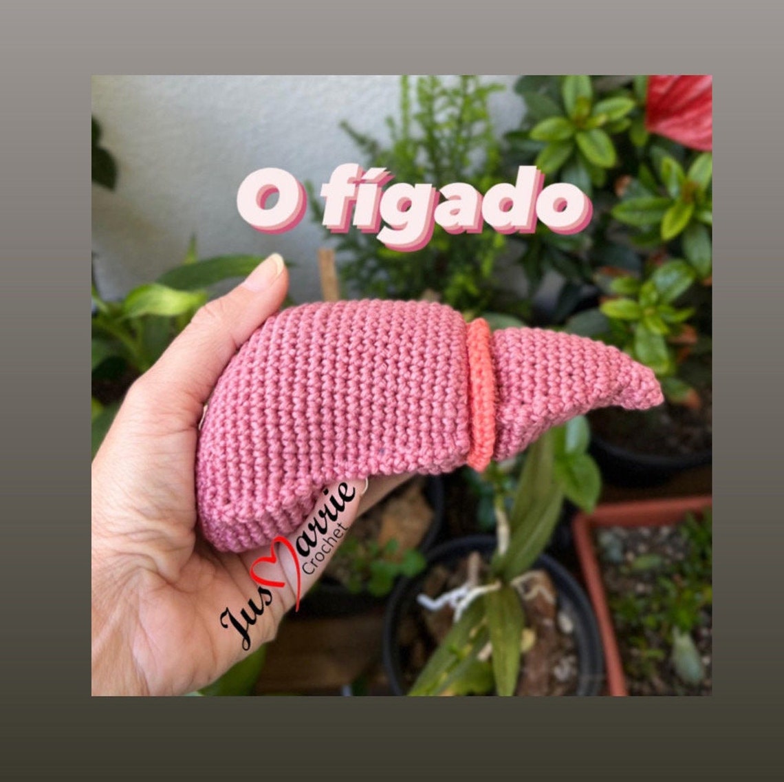 Digestive System Crochet English Ebook - Etsy