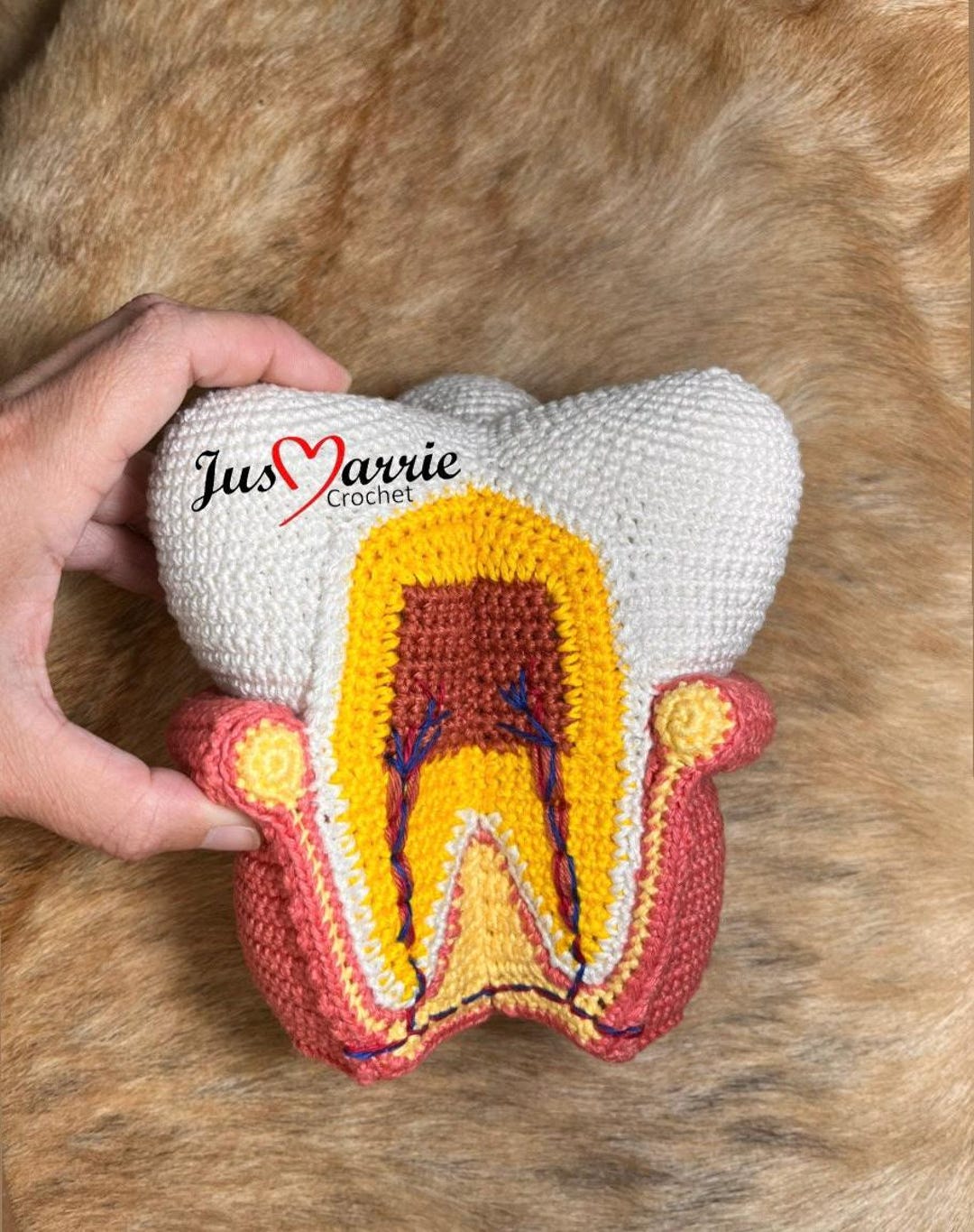 Molar Tooth, Anatomy (pattern, PDF File, English) - Etsy