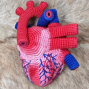Human Heart (pattern English, PDF File) - Etsy