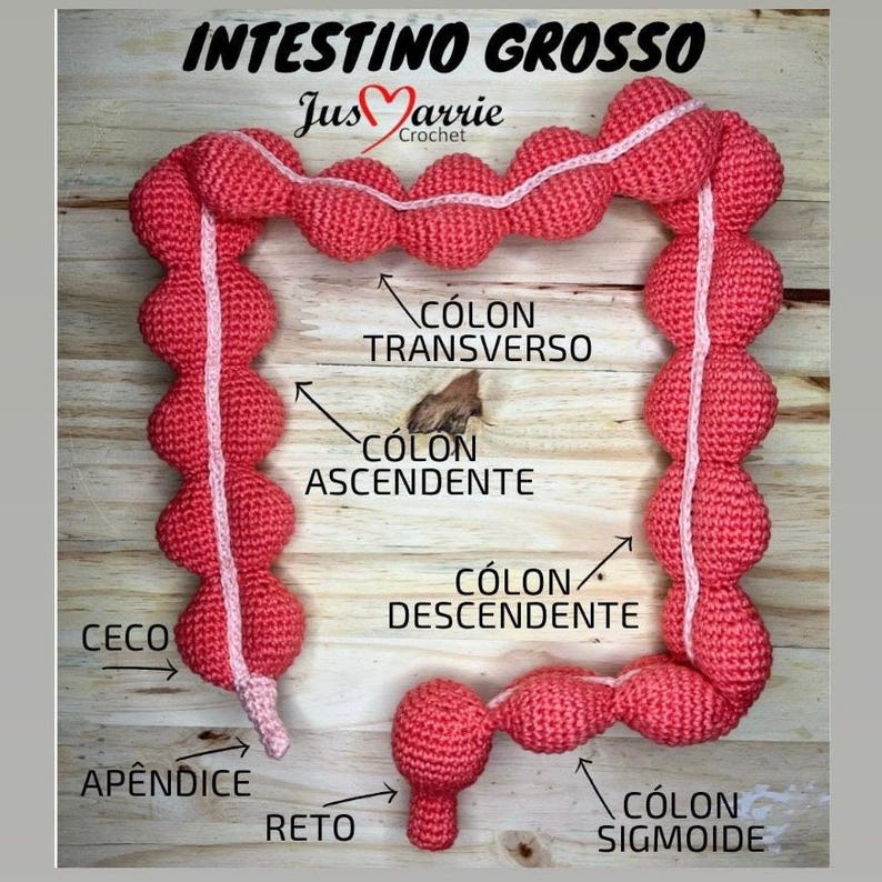 Digestive System Crochet English Ebook (PDF File) - Etsy