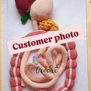 Digestive System Crochet English Ebook (PDF File) - Etsy
