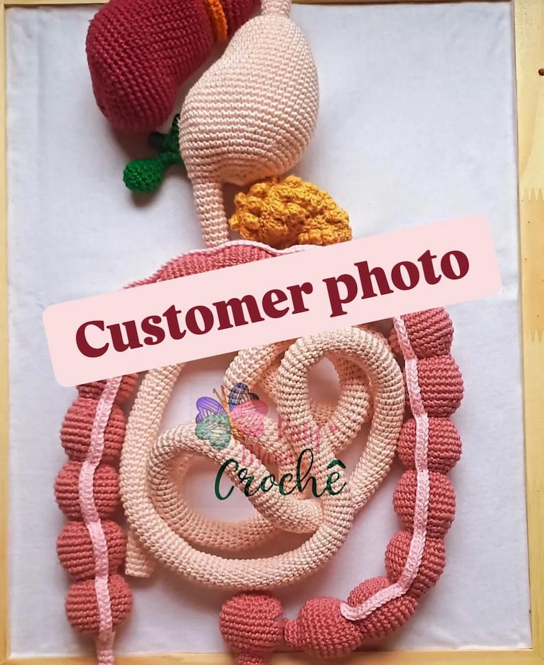 Digestive System Crochet English Ebook (PDF File) - Etsy