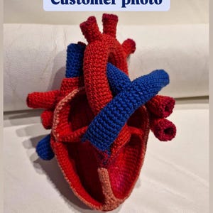 Human Heart (pattern English, PDF File) - Etsy