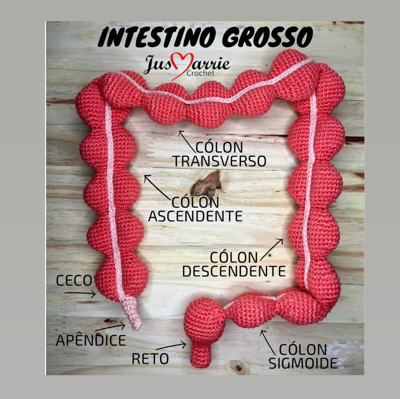 Digestive System Crochet English Ebook - Etsy