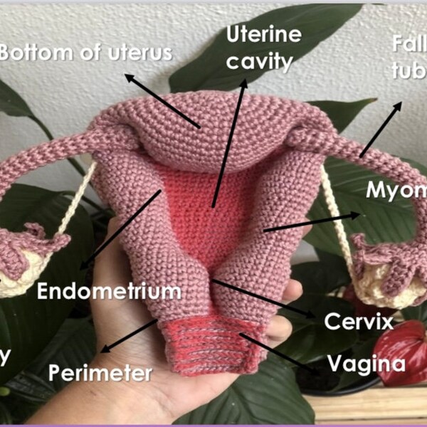 Crochet Uterus Pattern - Etsy