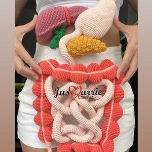 Digestive System Crochet English Ebook - Etsy