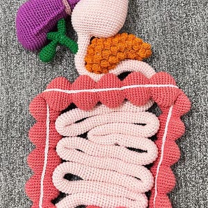 Digestive System Crochet English Ebook (PDF File) - Etsy