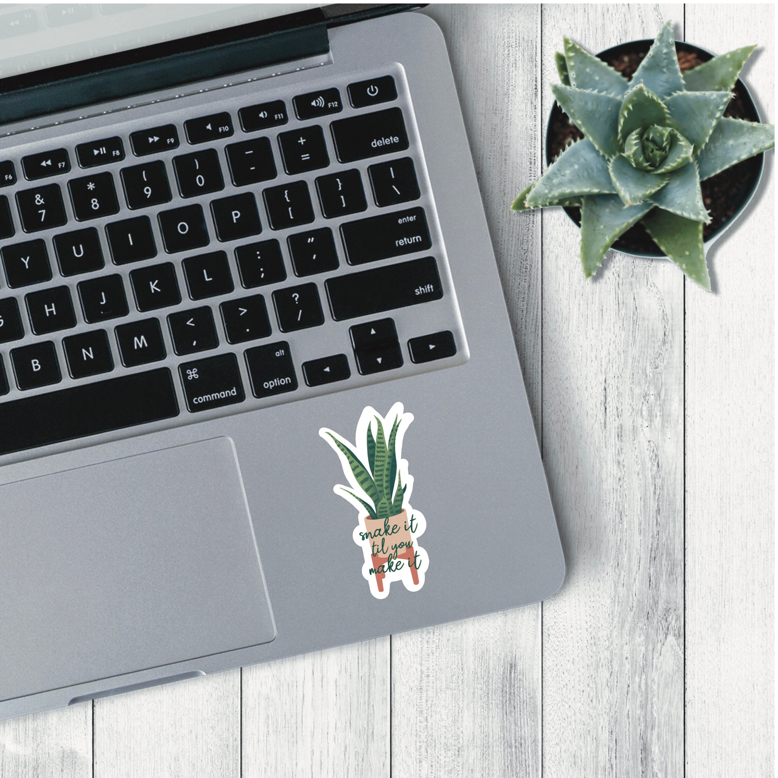 Snake Plant Sticker Crazy Plant Lady Botanical Stickers - Etsy