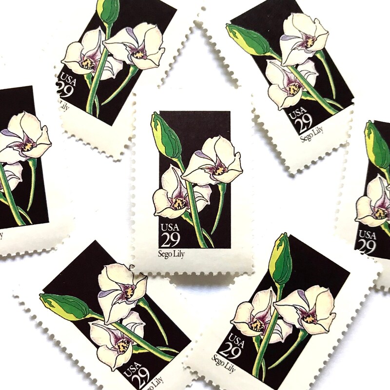 Lily Rubber Stamp - Etsy
