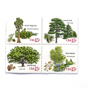 20 Vintage Unused American Trees Mail Stamps / Oak, Birch, Pine ...
