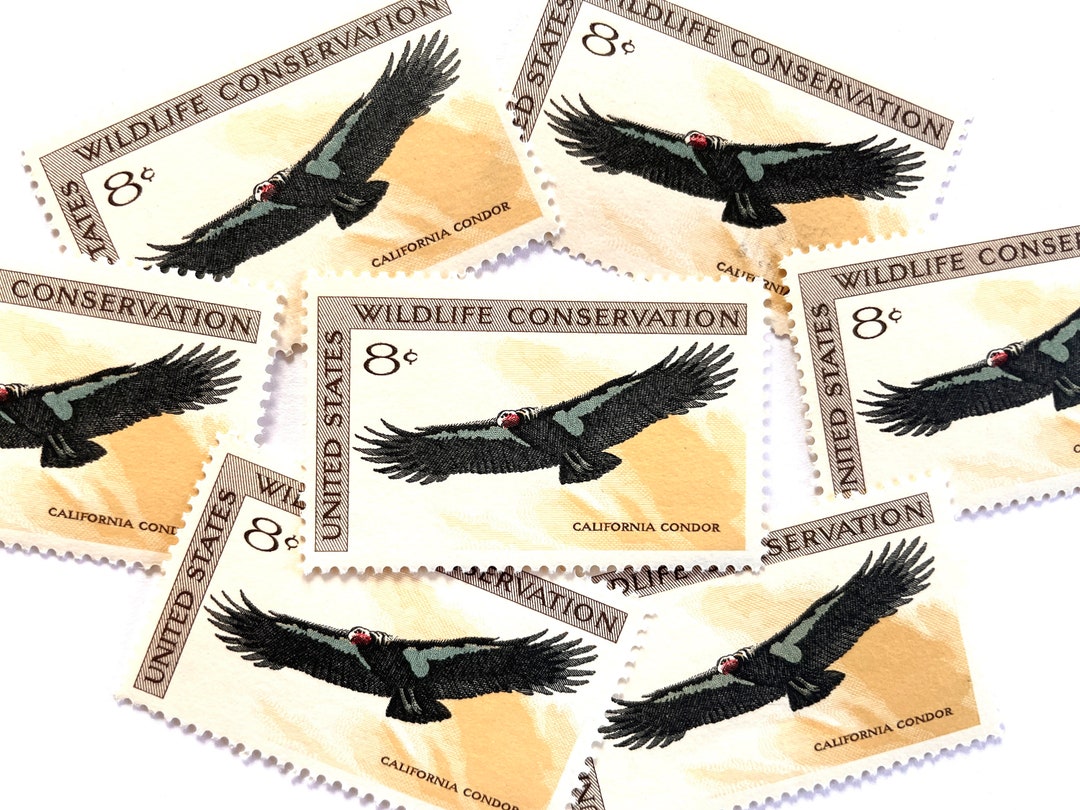10 Vintage Unused California Condor Stamps / Wildlife Conservation USPS ...