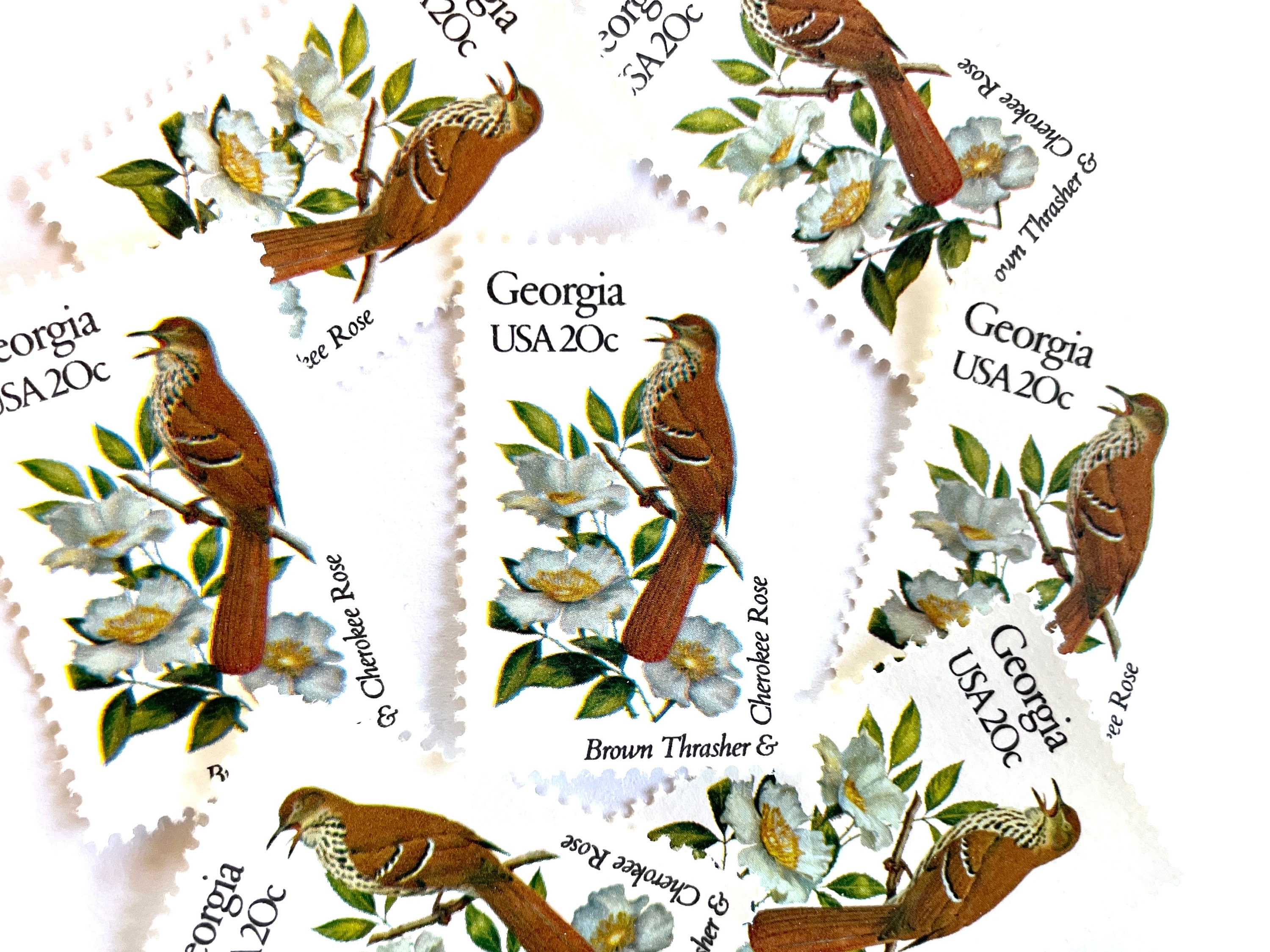 Georgia State Bird And Flower