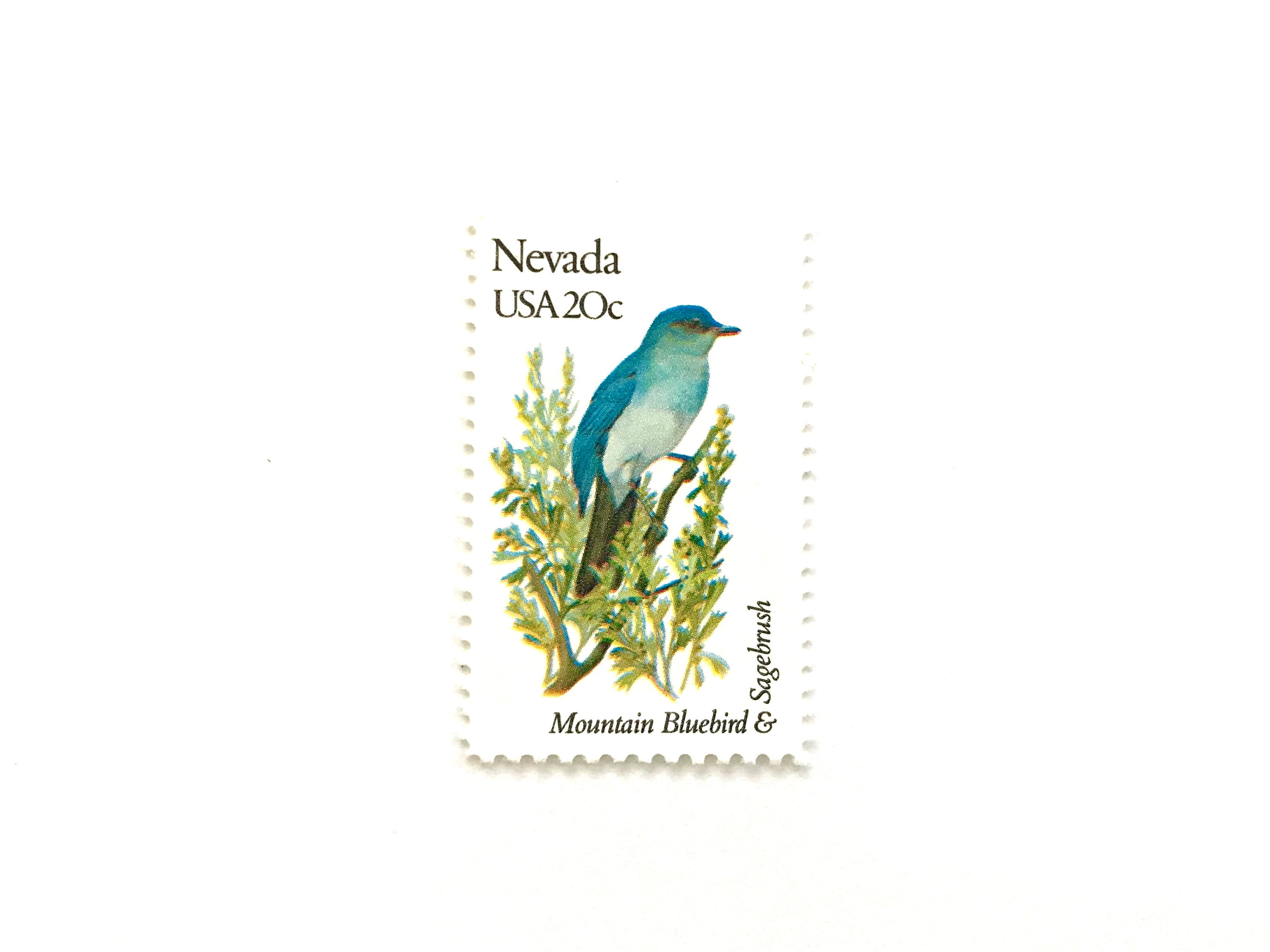 10 Vintage Unused Nevada State Bird and Flower Mail Stamps / Mountain ...